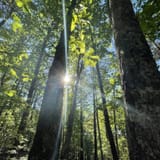 The Pinnacle via Ridgeline Trail and Boulders Access, North Carolina ...
