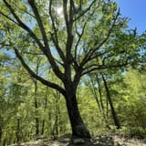 The Pinnacle via Ridgeline Trail and Boulders Access, North Carolina ...