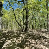 The Pinnacle via Ridgeline Trail and Boulders Access, North Carolina ...