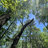 The Pinnacle via Ridgeline Trail and Boulders Access, North Carolina ...