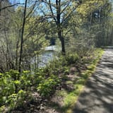 Chehalis Western Trail, Washington - 546 Reviews, Map | AllTrails