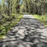 Chehalis Western Trail, Washington - 546 Reviews, Map | AllTrails