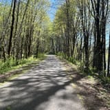 Chehalis Western Trail, Washington - 546 Reviews, Map | AllTrails