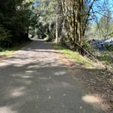 Chehalis Western Trail, Washington - 546 Reviews, Map | AllTrails