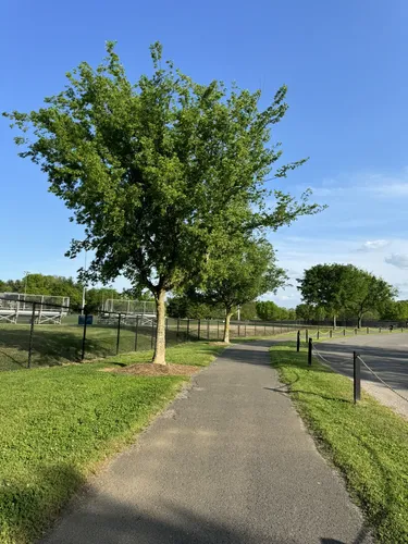 Best Hikes and Trails in Jim Warren Park | AllTrails