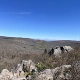 Massie Gap and Wilburn Ridge Loop, Virginia - 928 Reviews, Map | AllTrails
