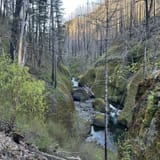 Eagle Creek Trail, Oregon - 825 Reviews, Map | AllTrails