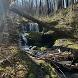 Eagle Creek Trail, Oregon - 825 Reviews, Map | AllTrails