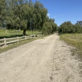 Hansen Dam Bike Path Trail, California - 513 Reviews, Map | AllTrails