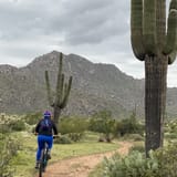Pemberton Trail Loop, Arizona - 682 Reviews, Map | AllTrails