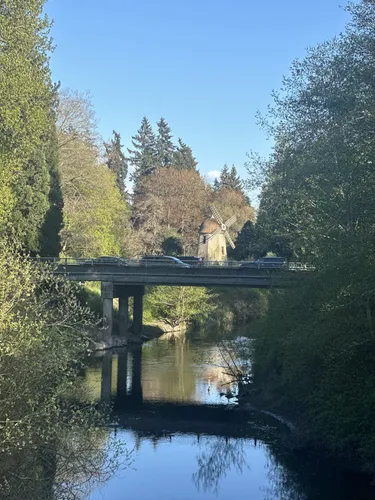 Best Bird Watching Trails in Marymoor Park | AllTrails