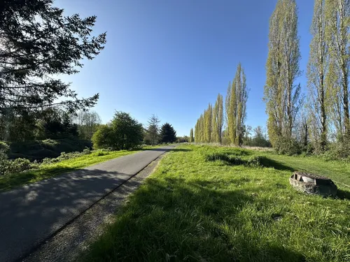 Best Bird Watching Trails in Marymoor Park | AllTrails