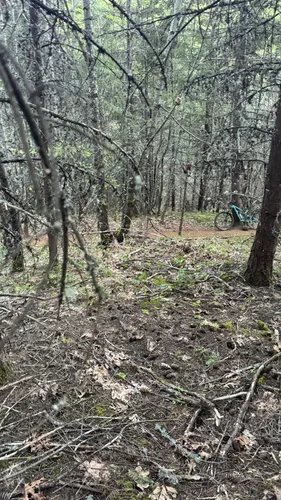 Best Hikes and Trails in Wygant State Natural Area | AllTrails