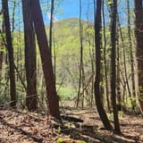 Explorer Loop, North Carolina - 447 Reviews, Map | AllTrails