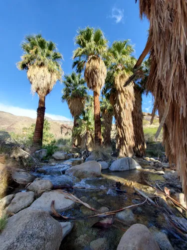 Cahuilla Native American Land - Indian Canyons: de beste routes om te ...