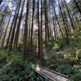 Threemile Lake Trail, Oregon - 134 Reviews, Map | AllTrails