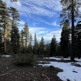 Tahoe Rim Trail to Picnic Rock Viewpoint, California - 3,198 Reviews, Map | AllTrails