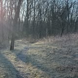 Ice Age Trail: Blue Spring Lake Segment, Wisconsin - 604 Reviews, Map ...