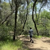 Monroe Ridge Trail and the Monument Trail, California - 871 Reviews ...