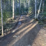Cedar Trail and University OHV Trail, Oregon - 70 Reviews, Map | AllTrails
