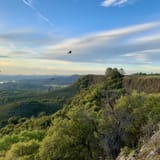 Tuolumne Table Mountain, California - 1,228 Reviews, Map | AllTrails