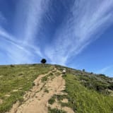 Old Colma Road Loop, California - 2,047 Reviews, Map | AllTrails