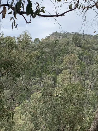 Best Hikes and Trails in Nangar National Park | AllTrails