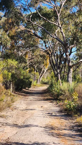 Best Camping Trails in Yattalunga | AllTrails