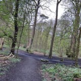 Yarrow Valley Country Park Circular, Lancashire, England - 327 Reviews ...