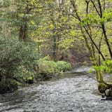 Yarrow Valley Country Park Circular, Lancashire, England - 189 Reviews ...