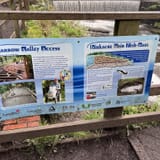 Yarrow Valley Country Park Circular, Lancashire, England - 327 Reviews ...