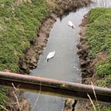 Tetney Lock and Louth Canal Circular, Lincolnshire, England - 22 ...