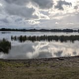 Kainui Lake Loop, Waikato, New Zealand - 99 Reviews, Map | AllTrails