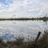 Kainui Lake Loop, Waikato, New Zealand - 99 Reviews, Map | AllTrails