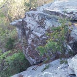 Cook's Wall Trail, North Carolina - 445 Reviews, Map | AllTrails