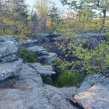 Cook's Wall Trail, North Carolina - 445 Reviews, Map | AllTrails