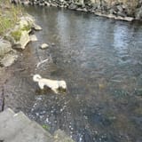 Thirteen Bridges Loop, New York - 1,615 Reviews, Map | AllTrails