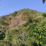 Mt. Ayaas, Metro Manila, Philippines - 13 Reviews, Map | AllTrails