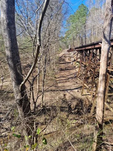 Best Road Biking Trails in Fayetteville | AllTrails