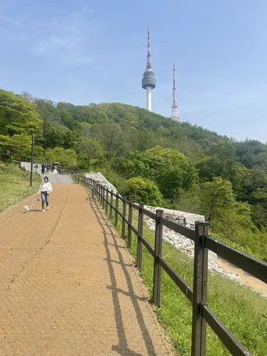 Best Moderate Trails in Namsan Mountain Park | AllTrails