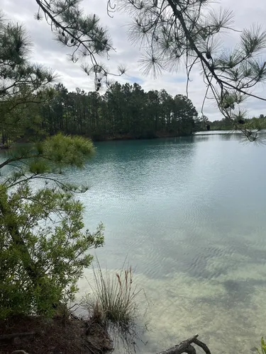 Best Trail Running Trails in Holly Ridge | AllTrails