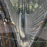 Dow Gardens Canopy Walk, Michigan - 138 Reviews, Map | AllTrails