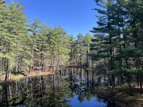 Best Lake Trails in Midland | AllTrails