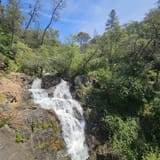 Hidden Falls Trail, California - 3,631 Reviews, Map | AllTrails