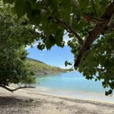 Reef Bay Trail, Saint John, US Virgin Islands - 1,096 Reviews, Map ...