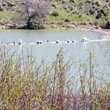 Link River Trail, Oregon - 548 Reviews, Map | AllTrails