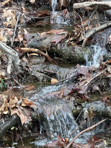 Best Lake Trails in Succasunna | AllTrails