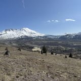 Hummocks Trail, Washington - 1,003 Reviews, Map | AllTrails