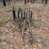 Batsto Lake Trail, New Jersey - 1,583 Reviews, Map | AllTrails