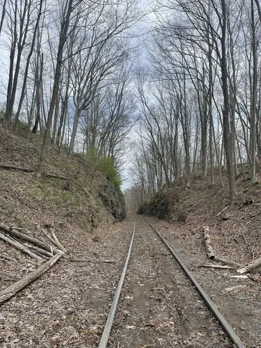 Best Forest Trails in Middlefield | AllTrails